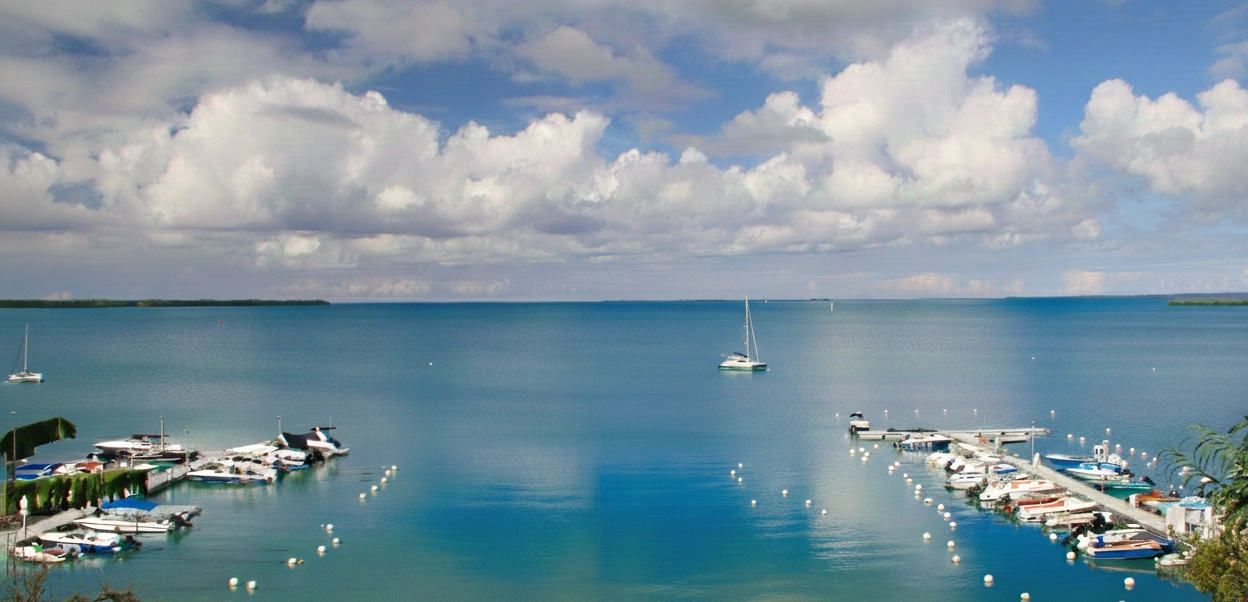Actualité - 🌴 Immobilier en Guadeloupe : Le point sur le marché en ...