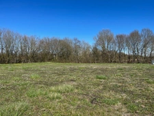 Terrain à vendre LOULAY 1415m2 40 000€